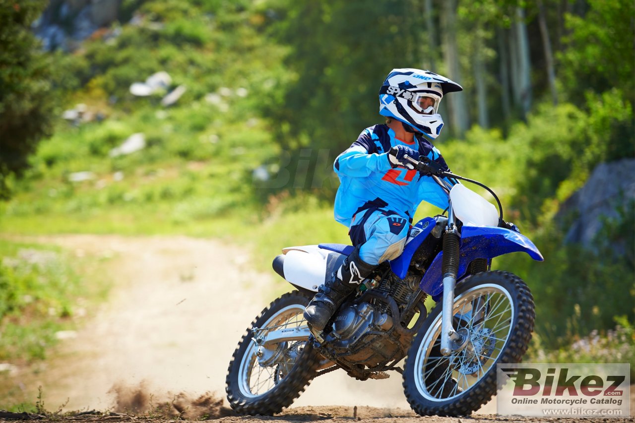 Yamaha TT-R230 poster